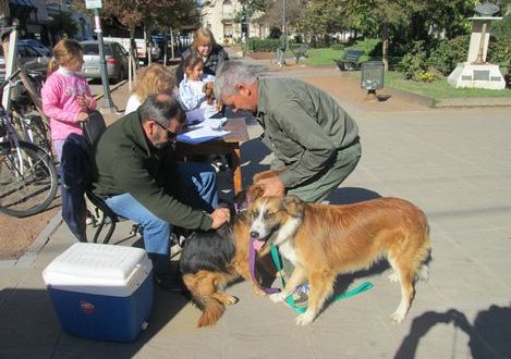 EXITOSA CAMPAÑA DE VACUNACIÓN ANTIRRÁBICA EN LA PLAZA, SUMANDO ...